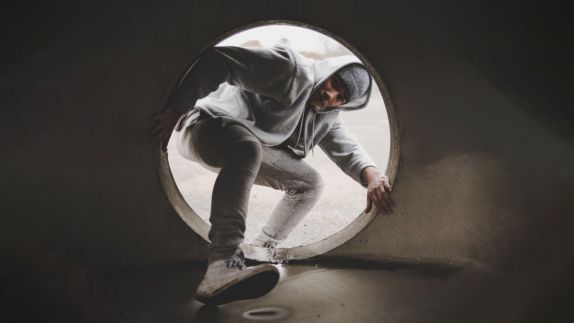 Whitepaper | Infinite velocity: creating winners in a digital era - WICONIC